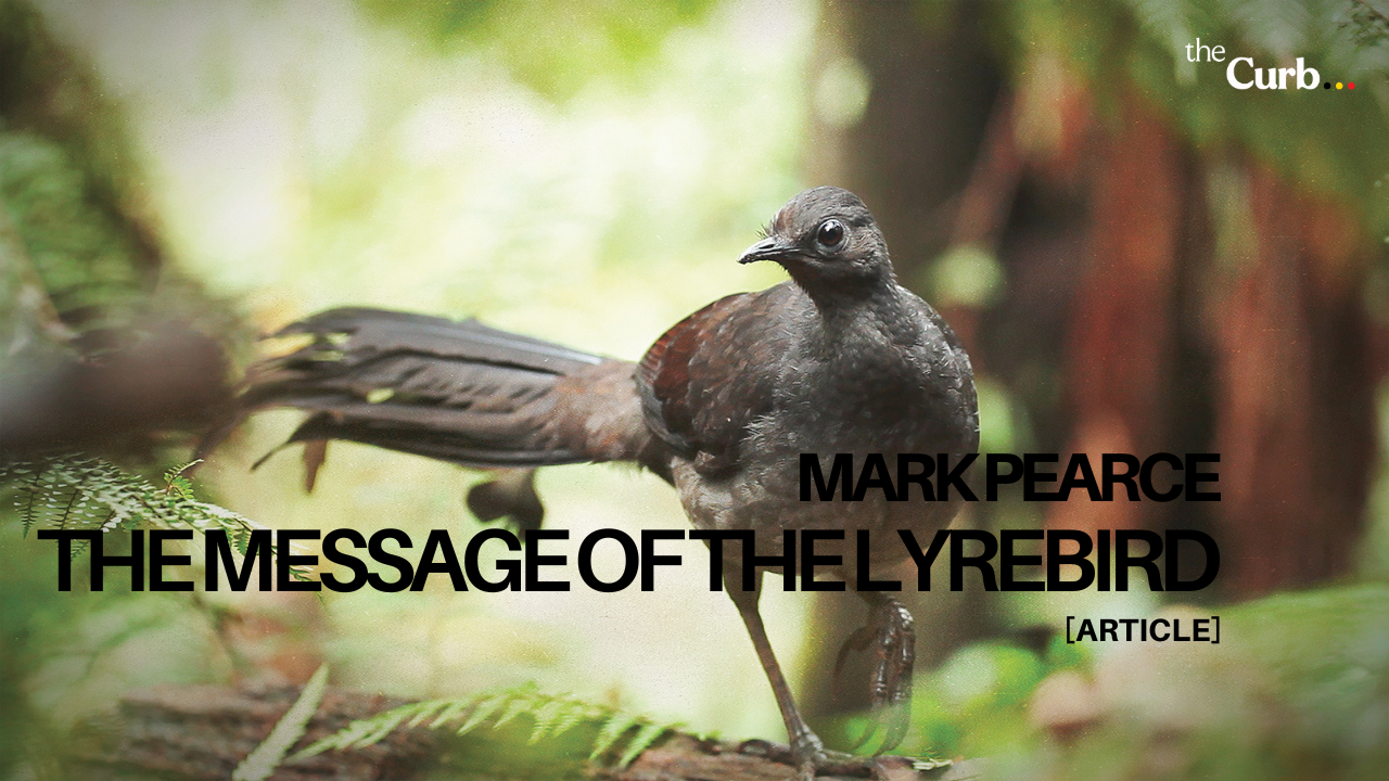 Is the future of the forests being foretold? The Message of the ...